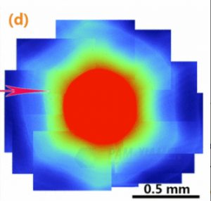 Growth Facet - XIAMEN POWERWAY
