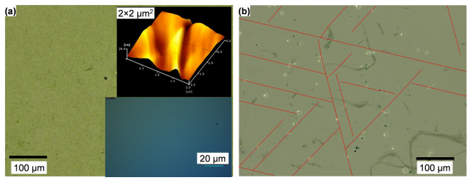 Research on Mechanism and Suppression Strategy of Crack Formation in ...